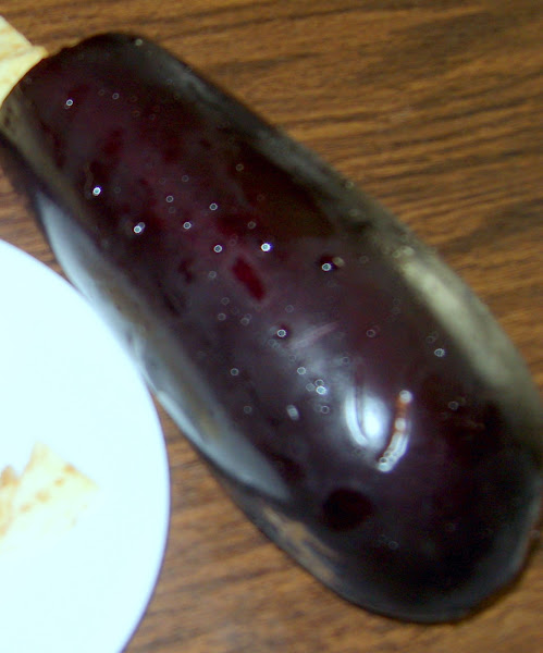 Eggplant Flowers | Project Noah