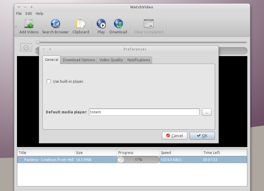 WatchVideo Can Download, Rip, Convert And Play Videos From YouTube And Many Other Video Sharing ...