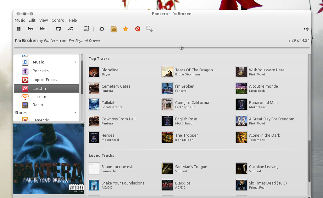 Install Rhythmbox 0.13.2 In Ubuntu 10.10 Maverick Meerkat ~ Web Upd8: Ubuntu / Linux blog