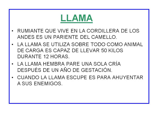 FICHAS DE ANIMALES PARA NIÑOS: LA LLAMA
