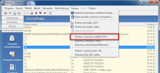 Instrukcja instalacji certyfikatu PE-1-ZUS-EWD | platnik.net | portal ... Instrukcja instalacji certyfikatu PE-1-ZUS-EWD | platnik.net | portal ...
