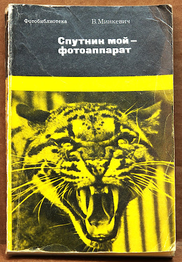 Книга Великан На Поляне Читать Рассказ Горит Костер - chartinstrukciya