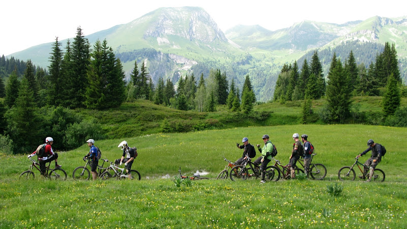 Passports photos – Bike Forum – Singletrack World Magazine Forum