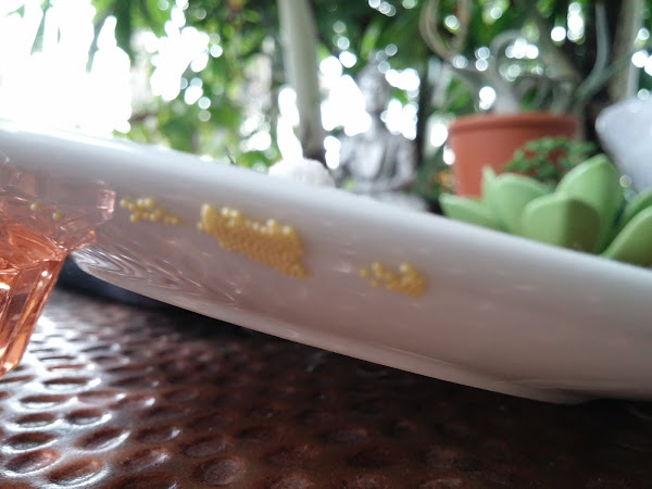 Salt Marsh Tiger Moth | Project Noah