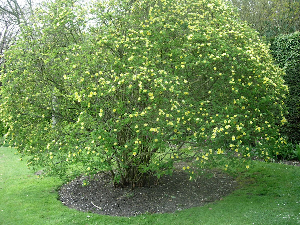 Unknown | Project Noah