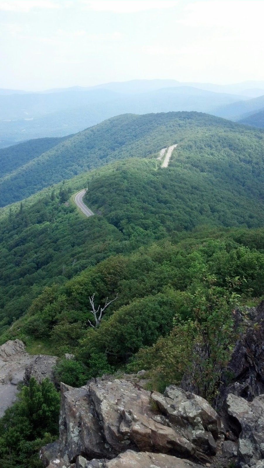 Appalachian Trail 2013: June 24 (Day 97) - Rock Spring Hut to Luray, VA