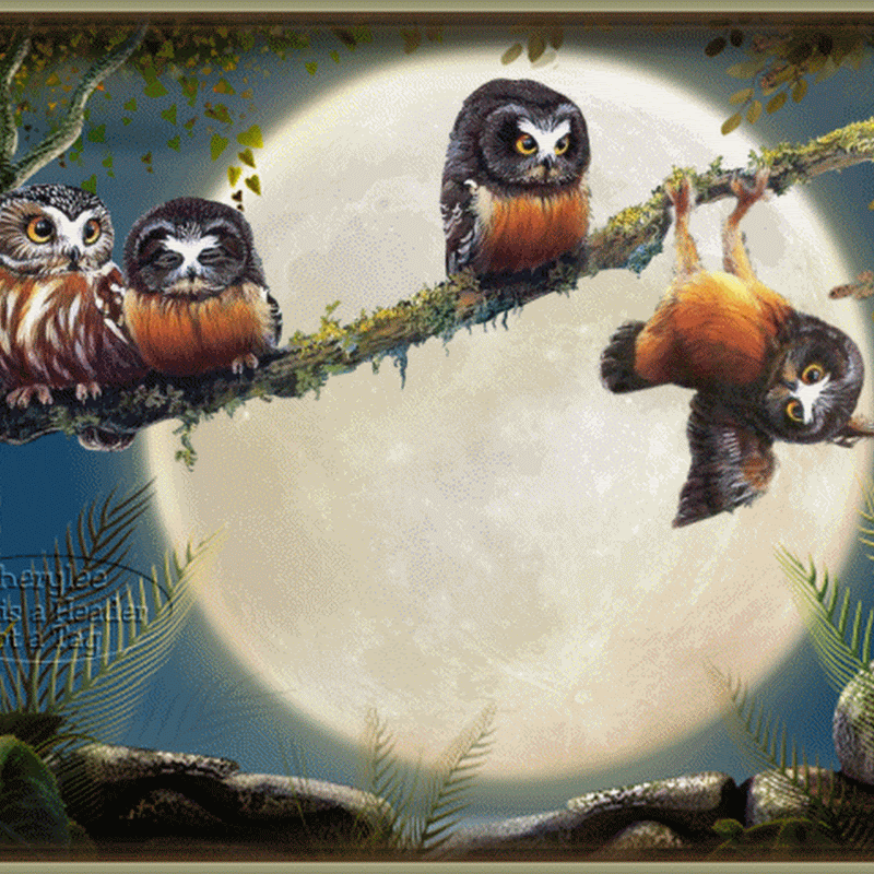 Gif animado búho columpiandose en una rama - Blog de imágenes