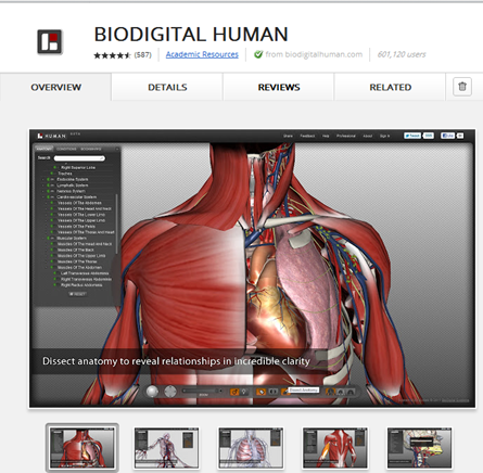 เรียนรู้ระบบร่างกาย Human body ผ่าน Google Chrome