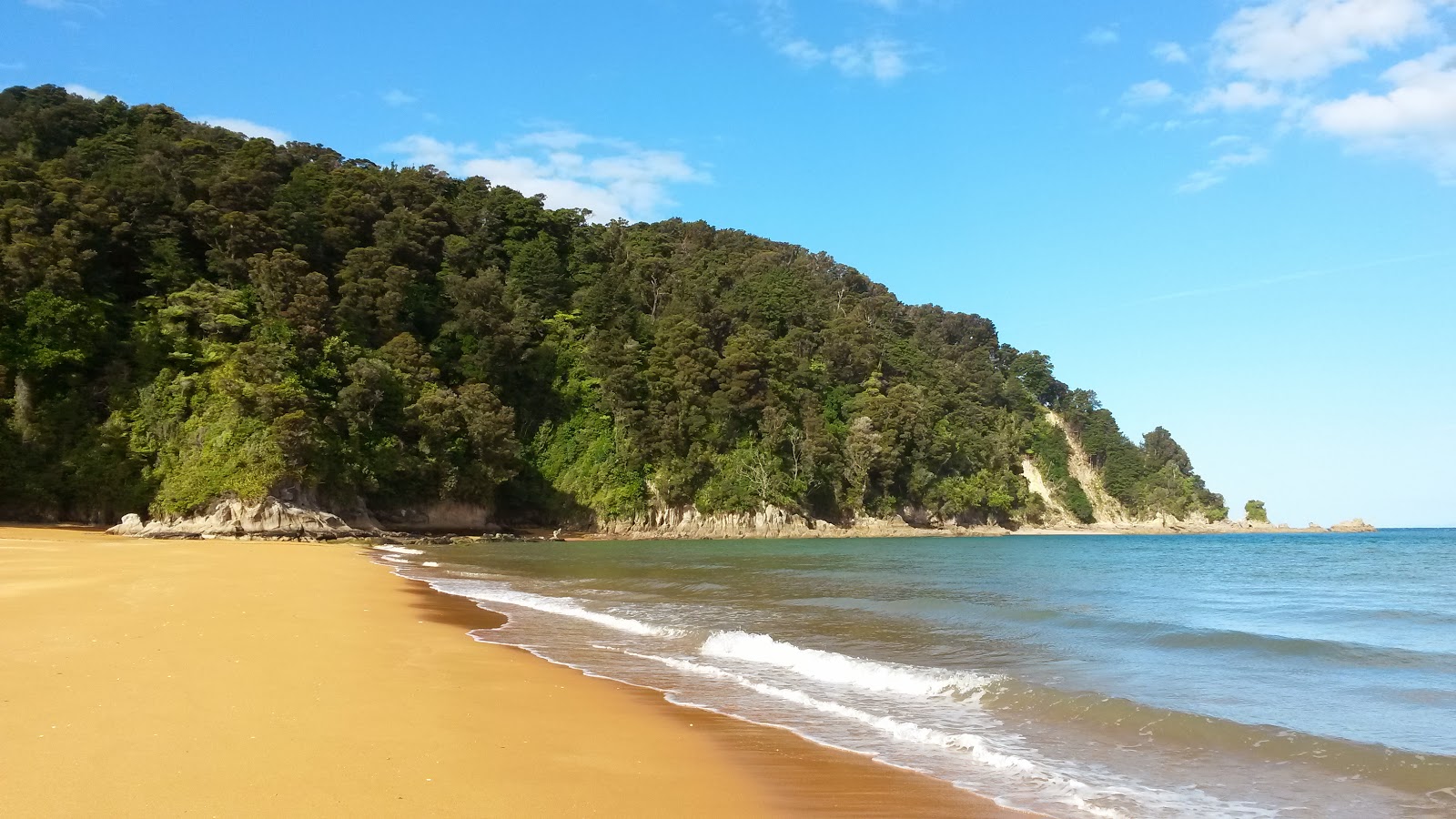 Australien & Neuseeland 2013: Nelson - Totaranui (Abel Tasman Nationalpark)