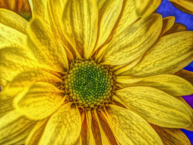 36 random free pictures available for download