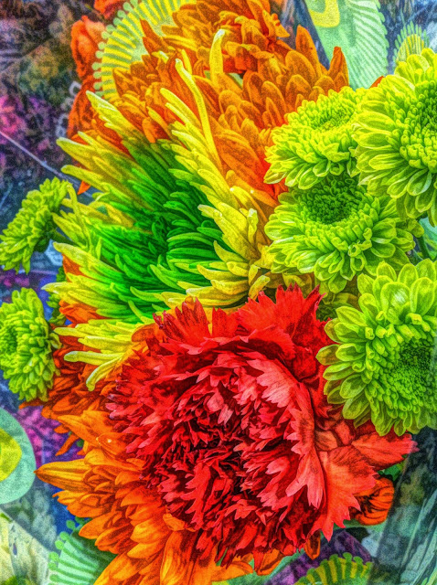 36 random free pictures available for download