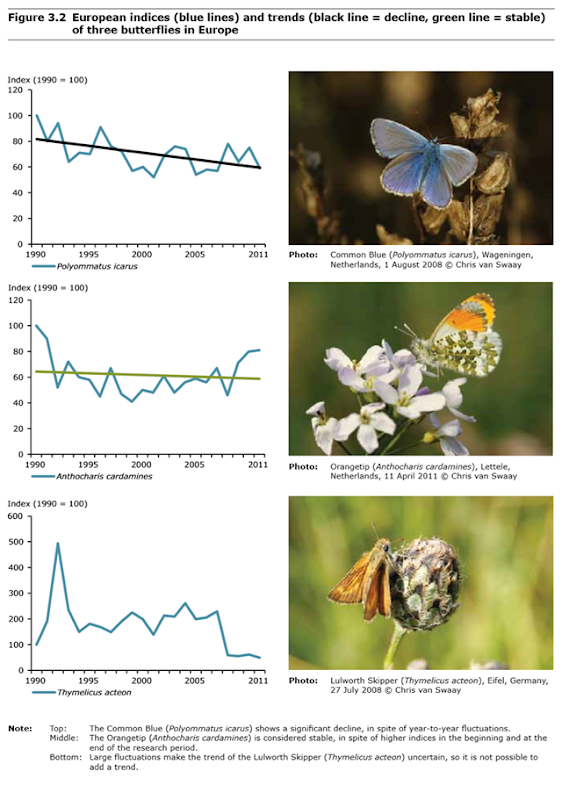 Graph of the Day: Population declines of three butterfly species in ...