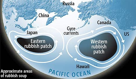 ! cocoabee: The Great Pacific Garbage Patch