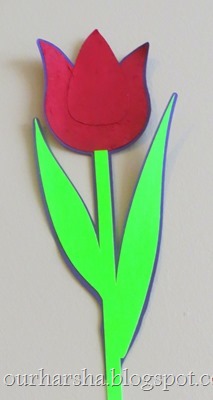 ::My Hobbies::: Tulip