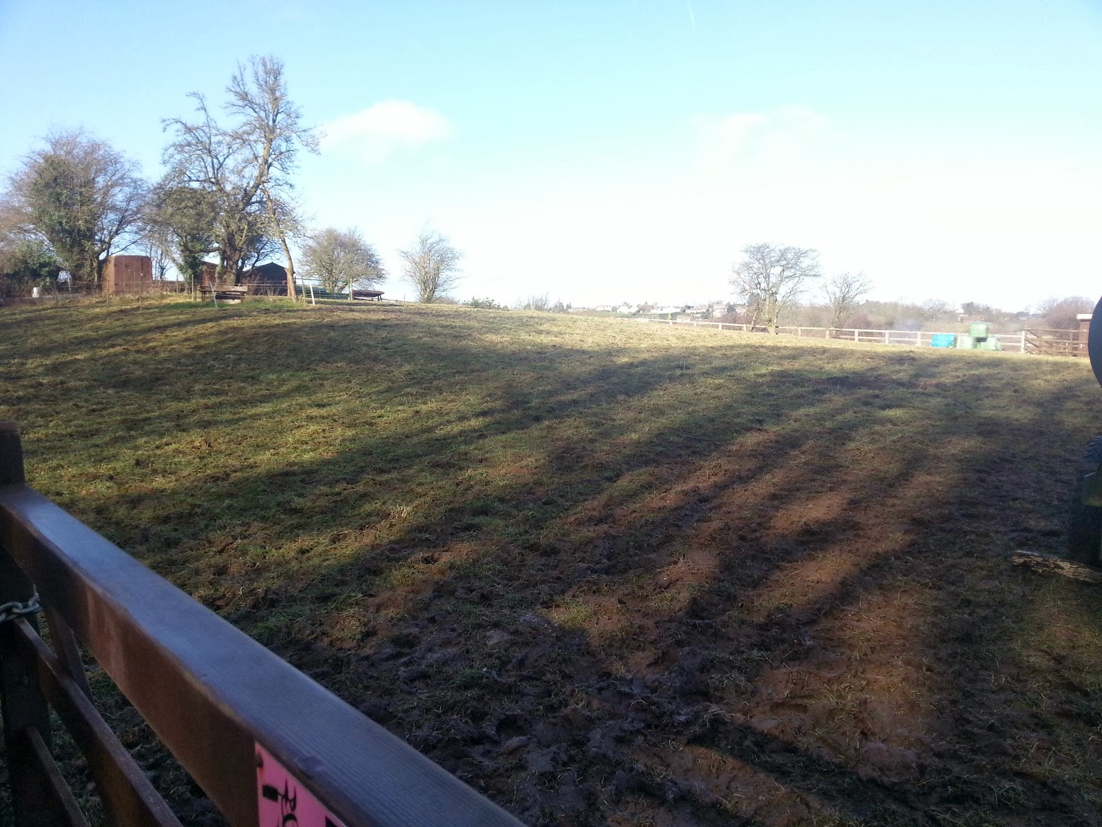 Pear Tree Paddocks: Top paddock today