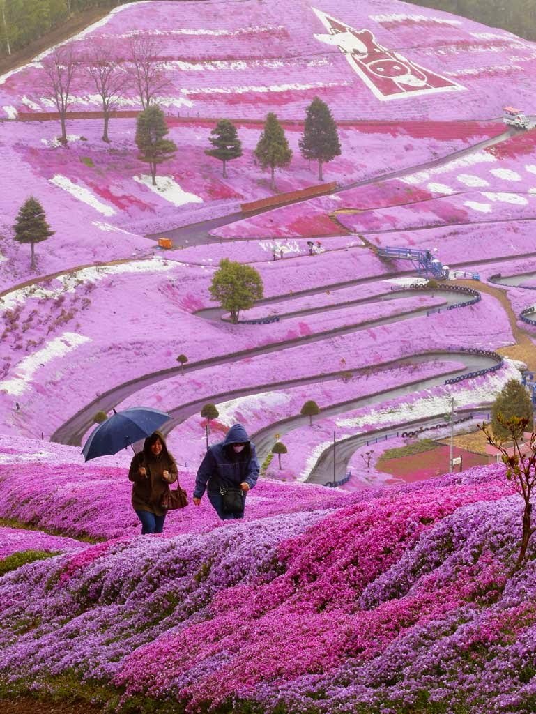 JapanDream: Beautiful Japanese Landscapes