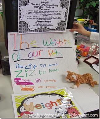 Measuring Penny Measurement Unit - Inspire Me ASAP