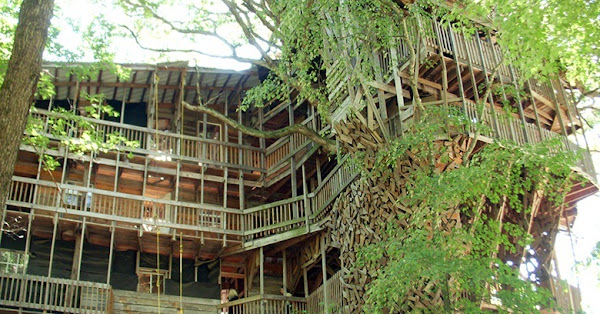 Massive Tree House in Crossville, Tennessee: The Largest in The World ...