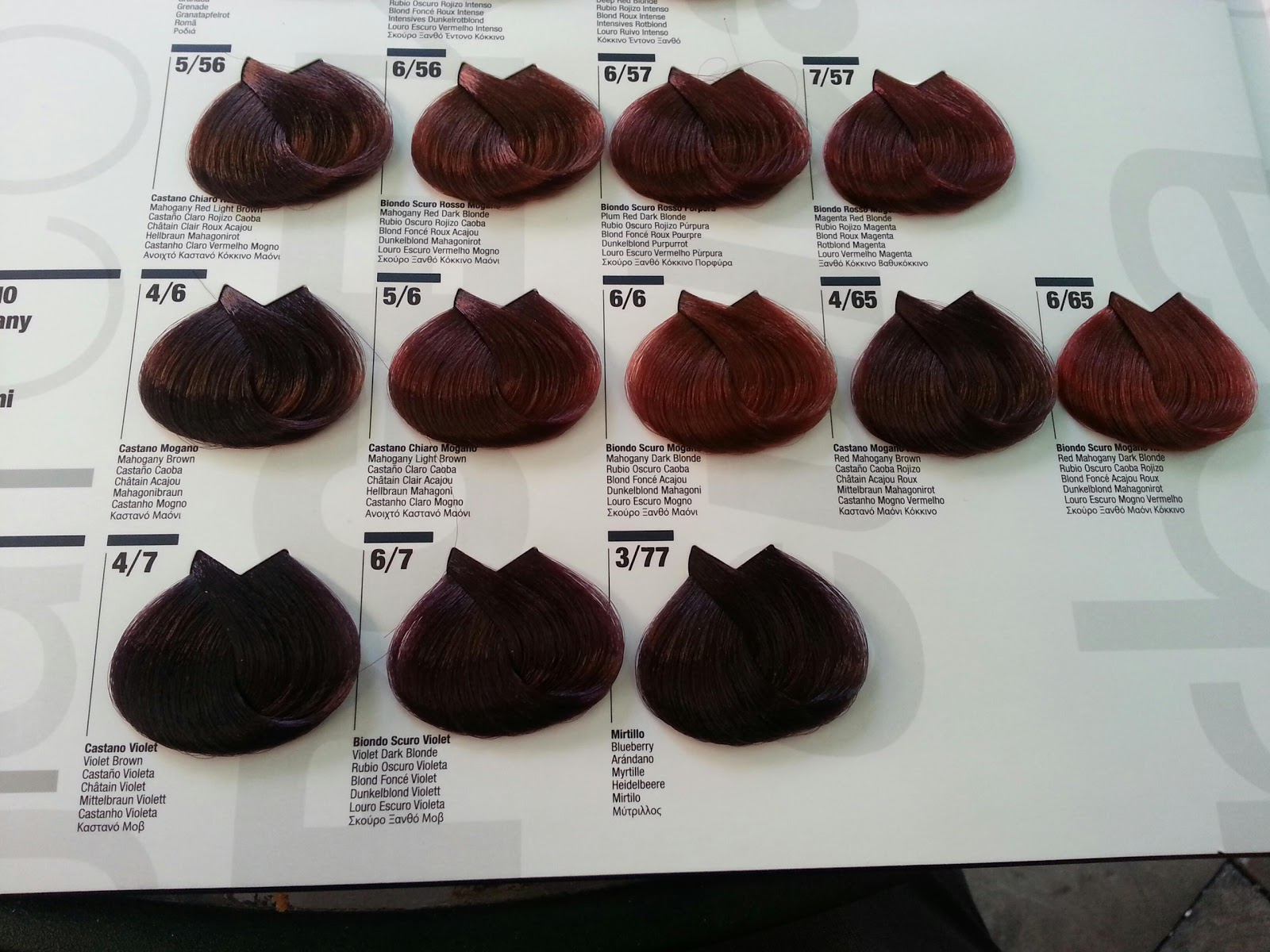 Elgon Professional (Indonesia): Moda&Styling Color