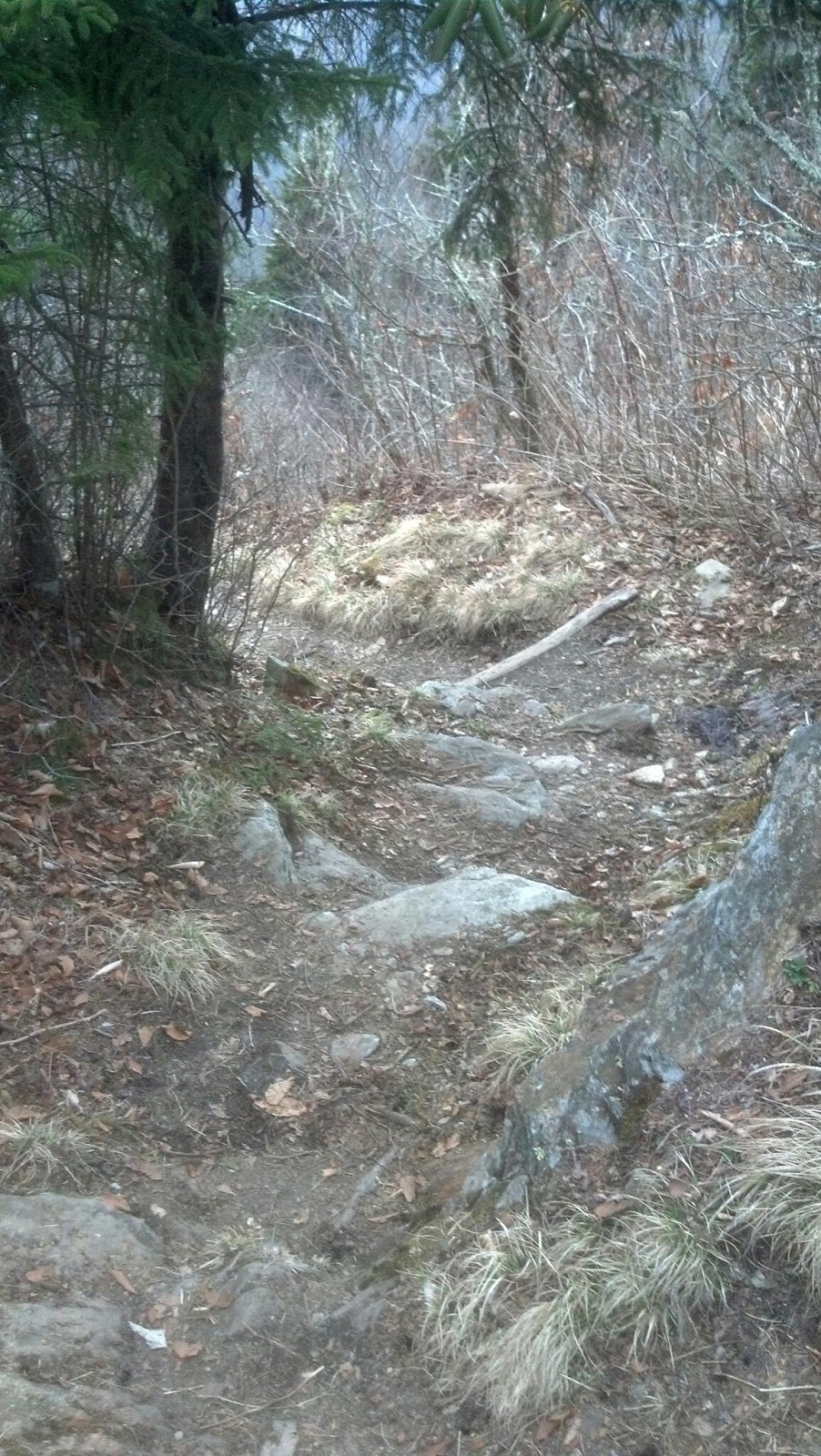 Appalachian Trail 2013: April 11 (Day 25) - Derrick Knob Shelter to ...
