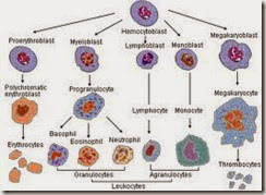 clip_image001%255B3%255D.jpg?imgmax=800