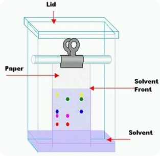 Biotechniques Den: THIN LAYER CHROMATOGRAPHY (TLC)