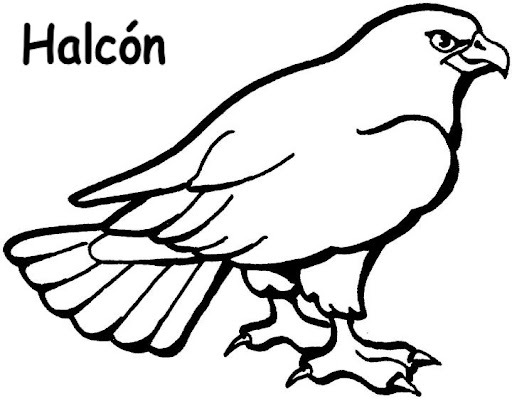 Dibujos de alcon para dibujar - Imagui