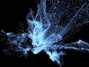 AWESOME BLOG: AWESOME COOL - Deep Sea Creatures Photo Collection (10 pics)