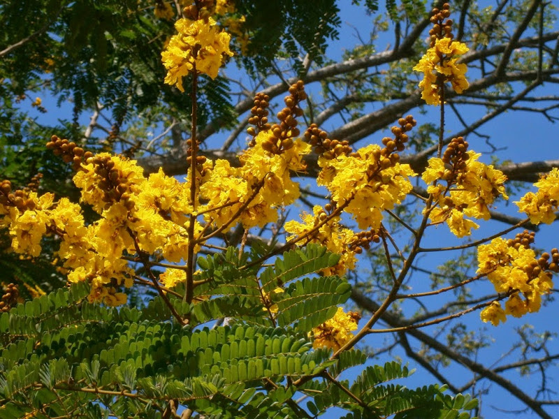 Along the Way: March 2015