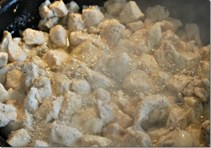 JC's Journey: Lomo Saltado Chicken