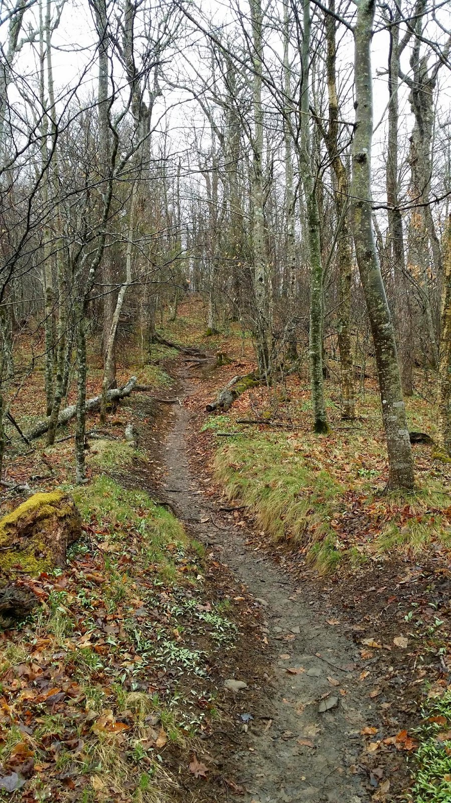 Joe @ Appalachian Trail 2014: 22.4. Tag 14 Spence Field Shelter bis ...