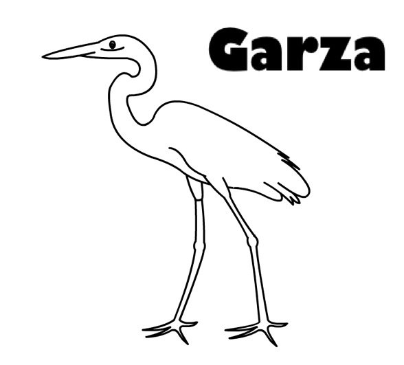 Dibujos de garzas - Imagui