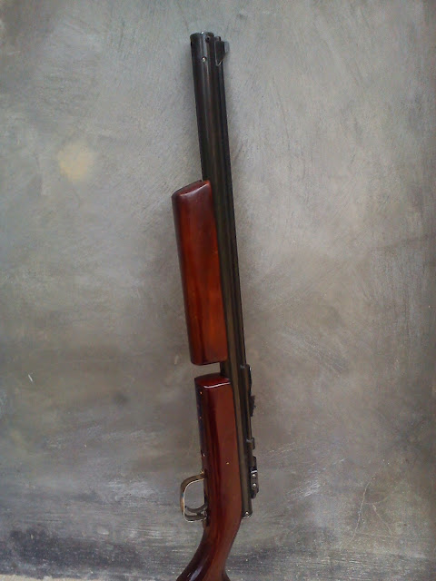 Senapan Angin Canon Special