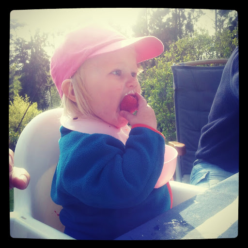 Lilla plupp