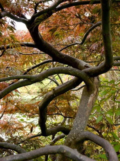 Sandra's Loom Blog: Giverny