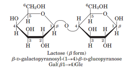 Bio Gallery: Lactose structure