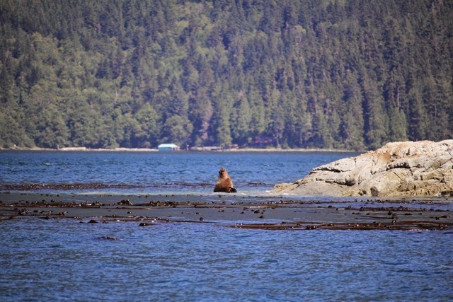 Nordri Heads North: Day 4/ August 4th – Lund to Beaver Cove ...