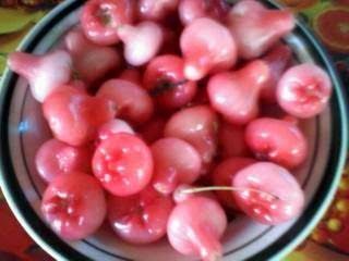 Benefits of Rose apple Chambaka or Jambaka Fruit