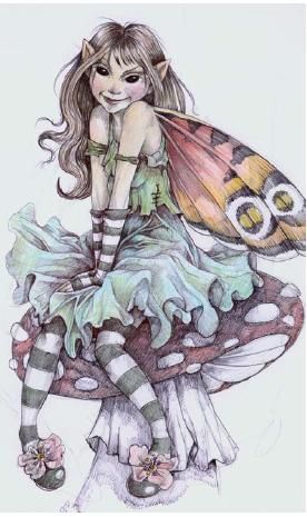 1000+ images about Faeries on Pinterest | Amy brown, Brian froud and ...