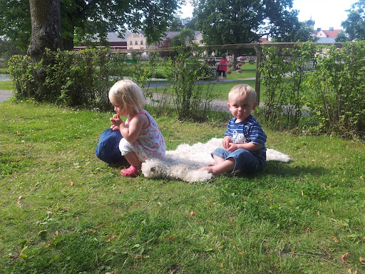 Lilla plupp