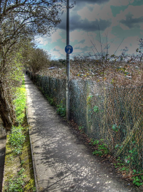 Keep Pushing Those Pedals: Cycle paths in Cambridge–Snakey Path