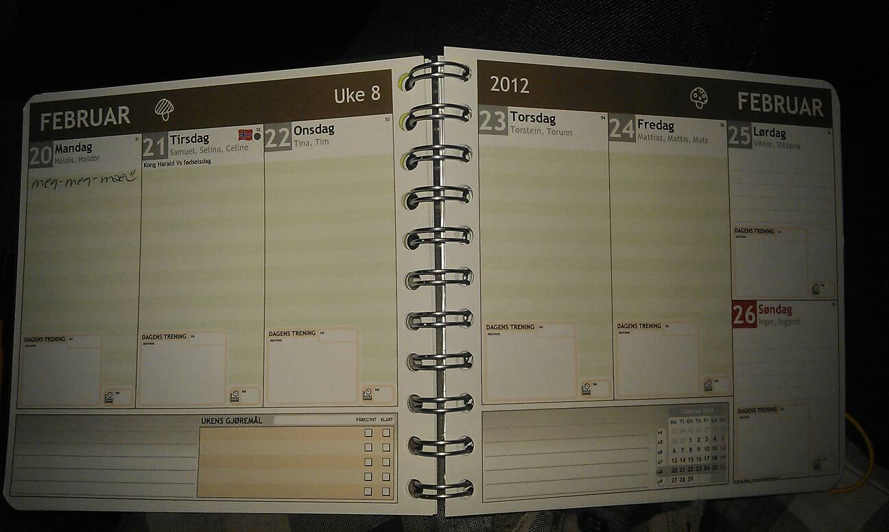 Hege`s hverdagsliv!: Ny almanakk!!