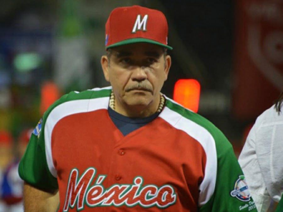 Alejandro Martinez Baseball Academy