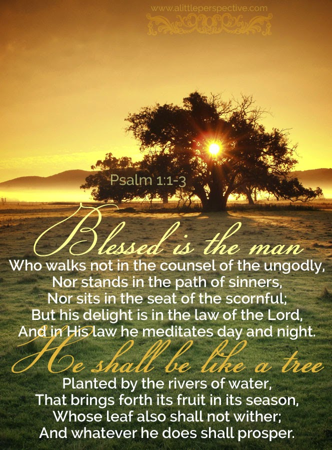 My Bible Journal Psalm 1