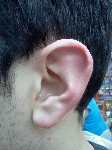 Tiki Crafts: Link Ears Mock#1