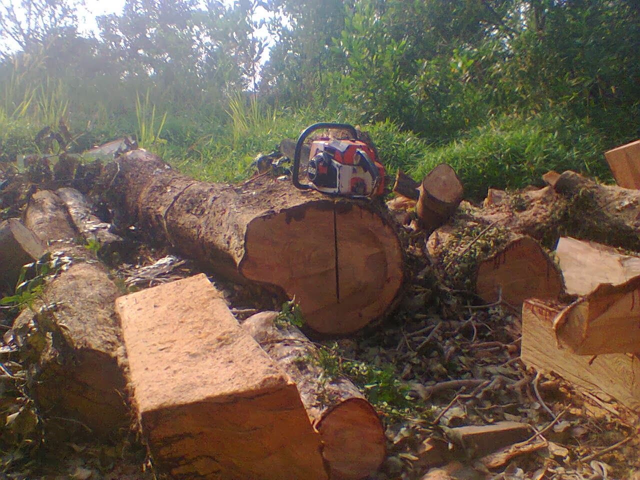 pembuatan pisau dan parang tradisional serta reprodaksi