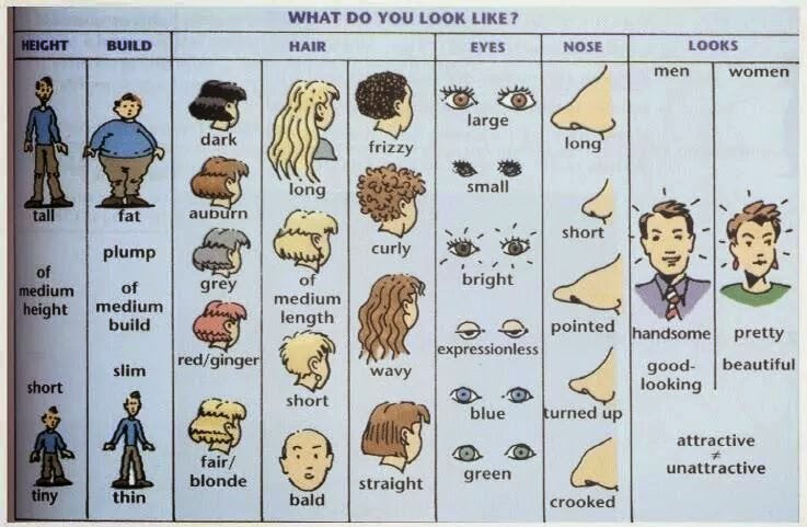 Physical appearance. Descriptions