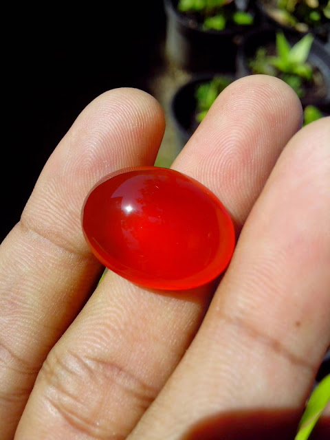 batu akik pacitan: red jendral nawangan pacitan