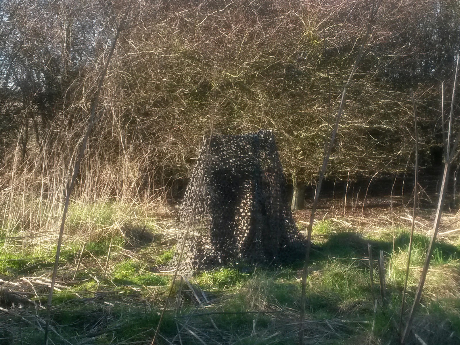 Looking for wildlife: Diy Hide project.