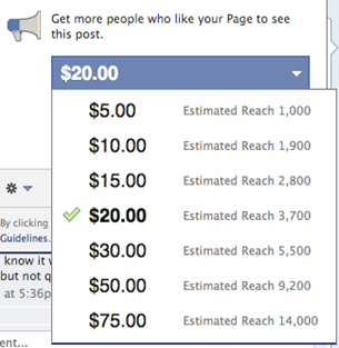 How You Can Pay Facebook to Promote Your Posts?